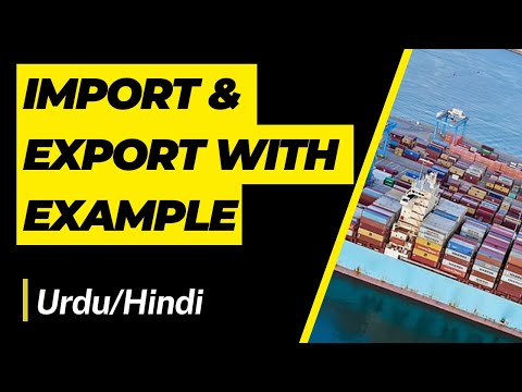 What are Import and Export?[with Examples]