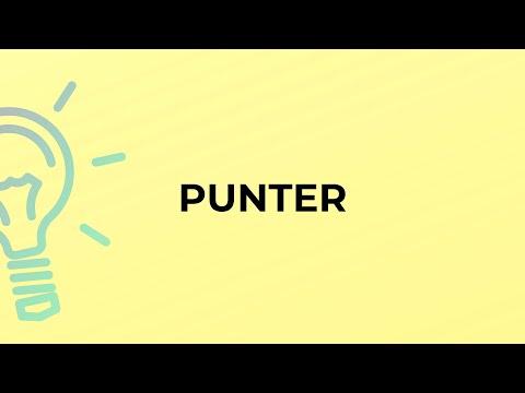 What is the meaning of the word PUNTER?