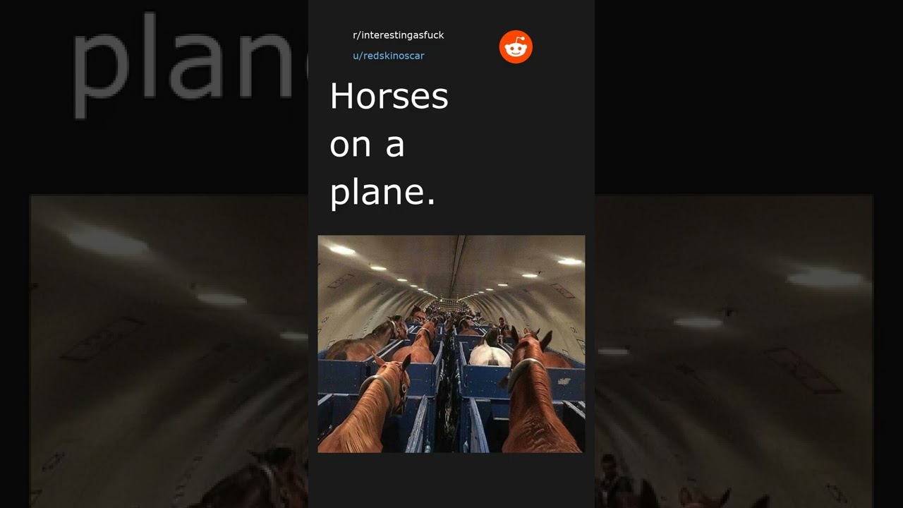 Daily Top Reddit Posts #93. 01/30/22. Top post in r/interestingasfuck.