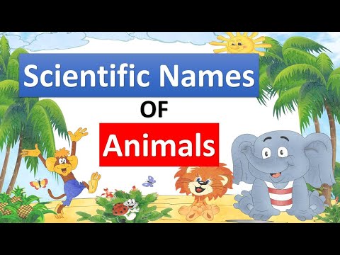 Scientific Names of Most Common Animals