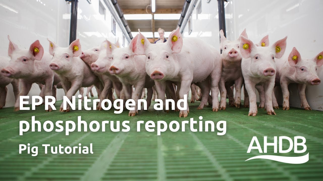 EPR Nitrogen and phosphorus reporting tutorial - Pig | AHDB