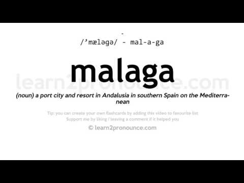 Pronunciation of Malaga | Definition of Malaga