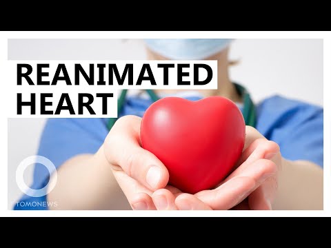 Heart reanimated from deceased donor for first time in U.S. - TomoNews