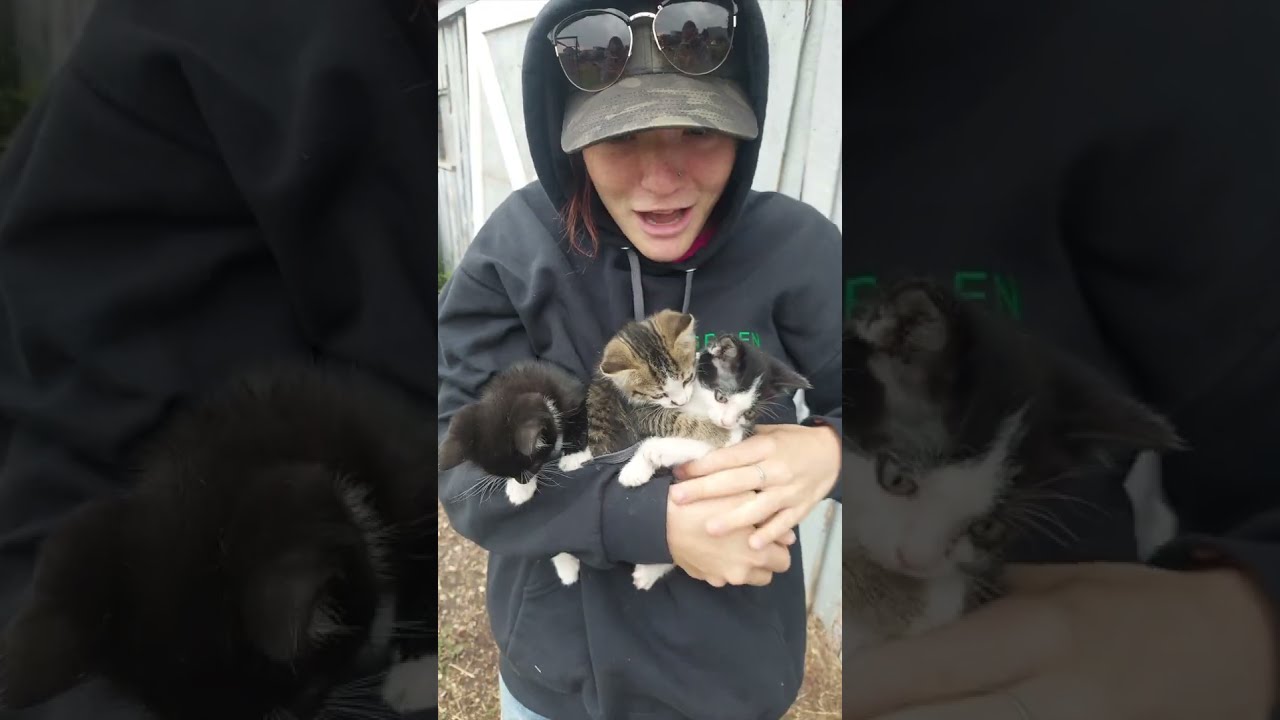 PCWC Summer Staff Position