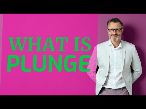 Plunge | Definition of plunge
