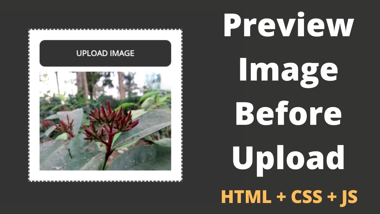 How to Preview an Image Before Upload using JavaScript