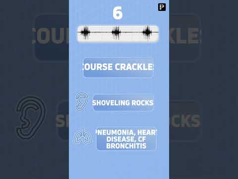 8 types of sounds your Lungs make #volumeup
