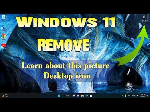 How to remove Learn more about this picture icon in Windows 11