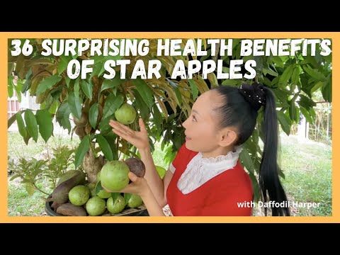 36 Surprising Health Benefits of Star Apples l Daffodil Harper l Plant based food