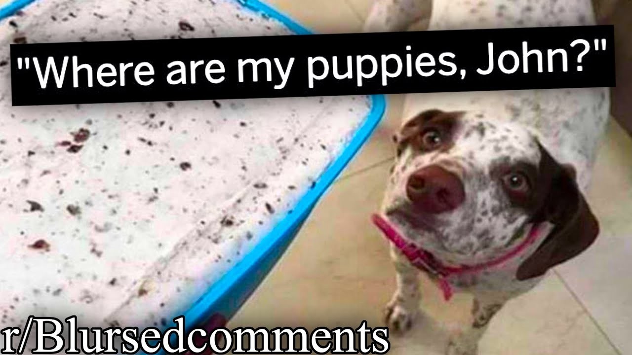 ALL OF R/BLURSEDCOMMENTS