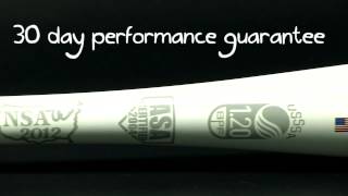 RIP-IT Prototype AIR -10 2 1/4" Fastpitch Softball Bat F1310 | JustBats.com
