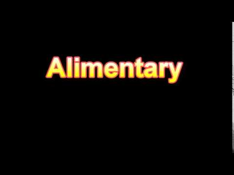 What Is The Definition Of Alimentary (Medical Dictionary Online)
