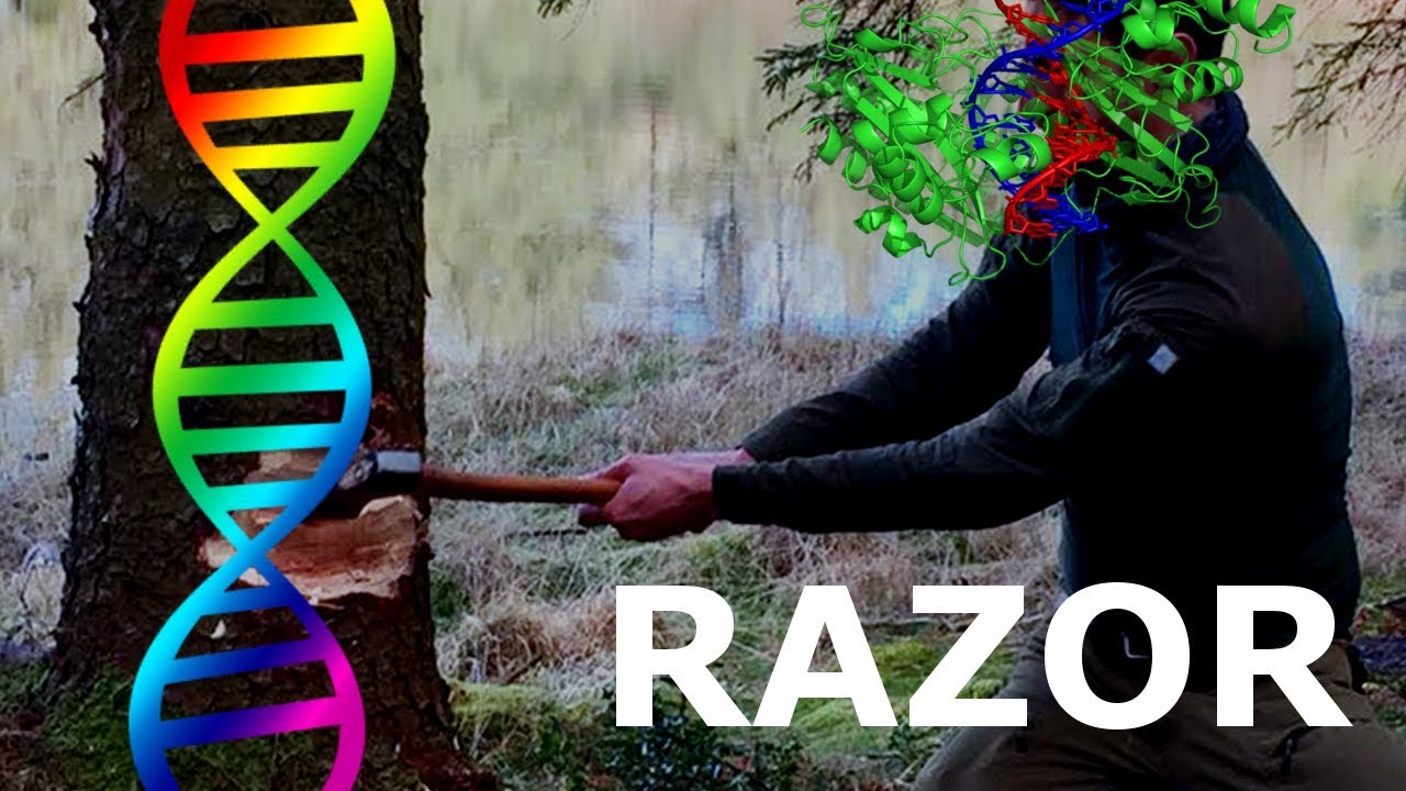 Making a Restriction Enzyme DNA Cutter in Python