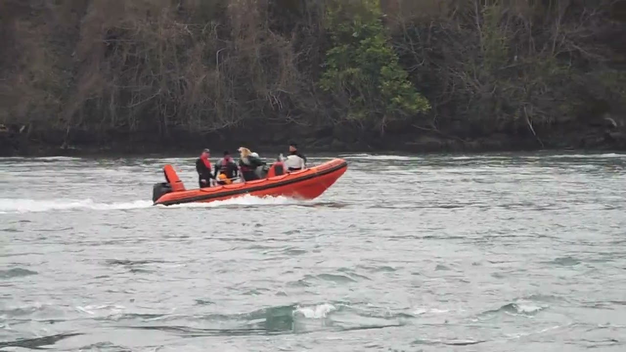 BSAC Menai Run Rib