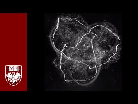 Vortex smoke rings created with 3D printed wings | Boing Boing