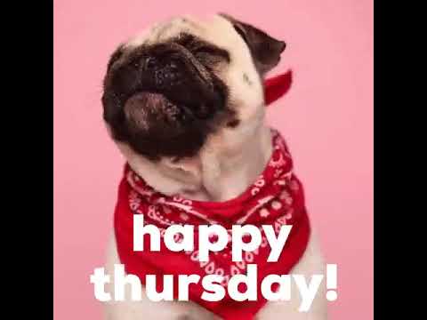 this was a gif its not a thursday tho