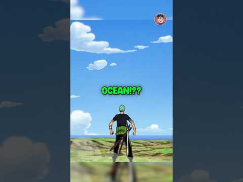 3 Times Zoro got lost in One Piece ðŸ˜