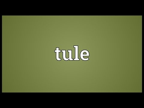 Tule Meaning