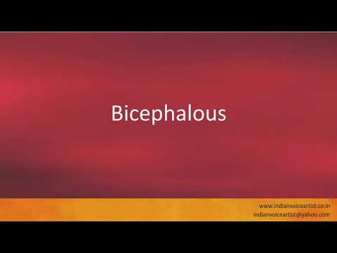 Pronunciation of the word(s) "Bicephalous".