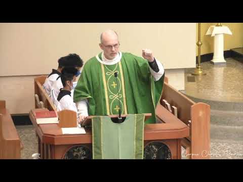 From Spectator to Disciple | Fr. Hamilton – 17th Sunday Year B – Corpus ...