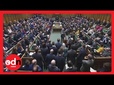 Standing Up to Downright Lies - Parliament's Rules Explained