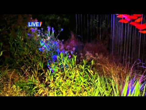 Luminous artwork comes to Olbrich Gardens