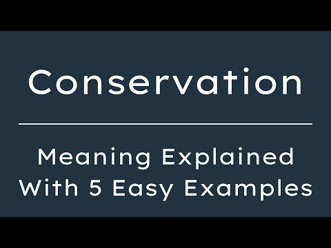 What Does Conservation Mean? Conservation Meaning in English With 5 Example Sentences