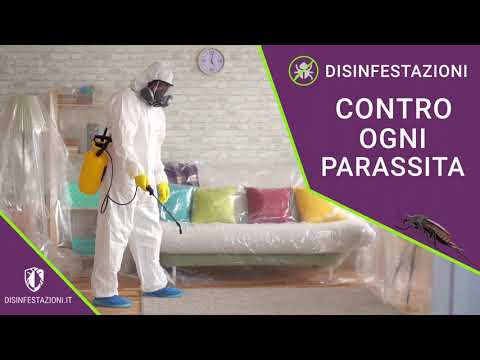 Disinfestazioni.it – Il Portale della Disinfestazione in Italia
