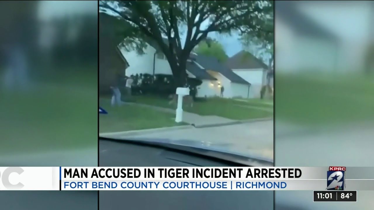 Man who fled with tiger arrested, charged with evading arrest, attorney says
