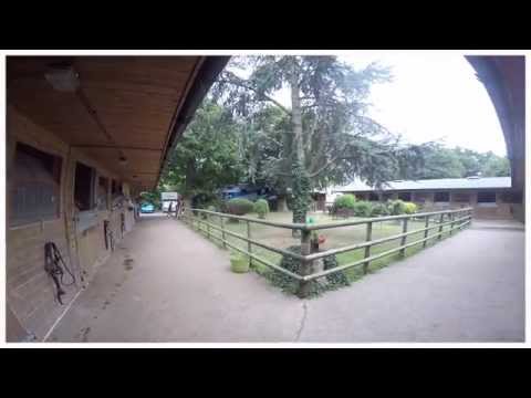 New Barn Stables - Livery Yard (full livery)