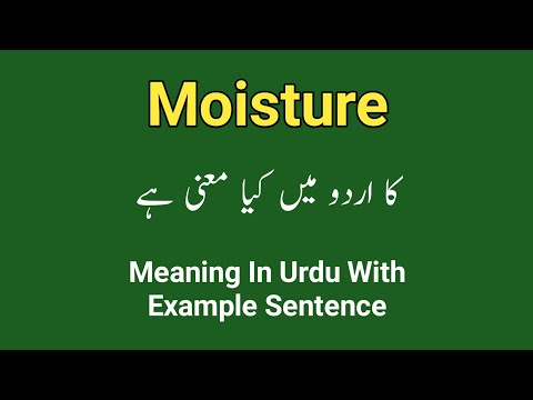 Moisture meaning in Urdu/hindi || Moisture in a sentence || Moisture ka matlab kia hota ha