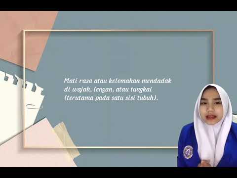 PENYAKIT STROKE PADA LANSIA
