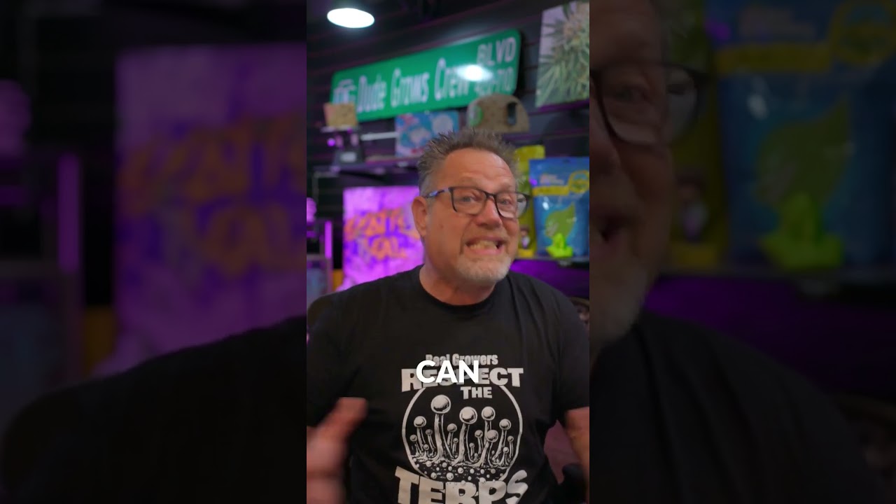 Use these three tricks to max out the trichomes on your cannabis plants ❄️