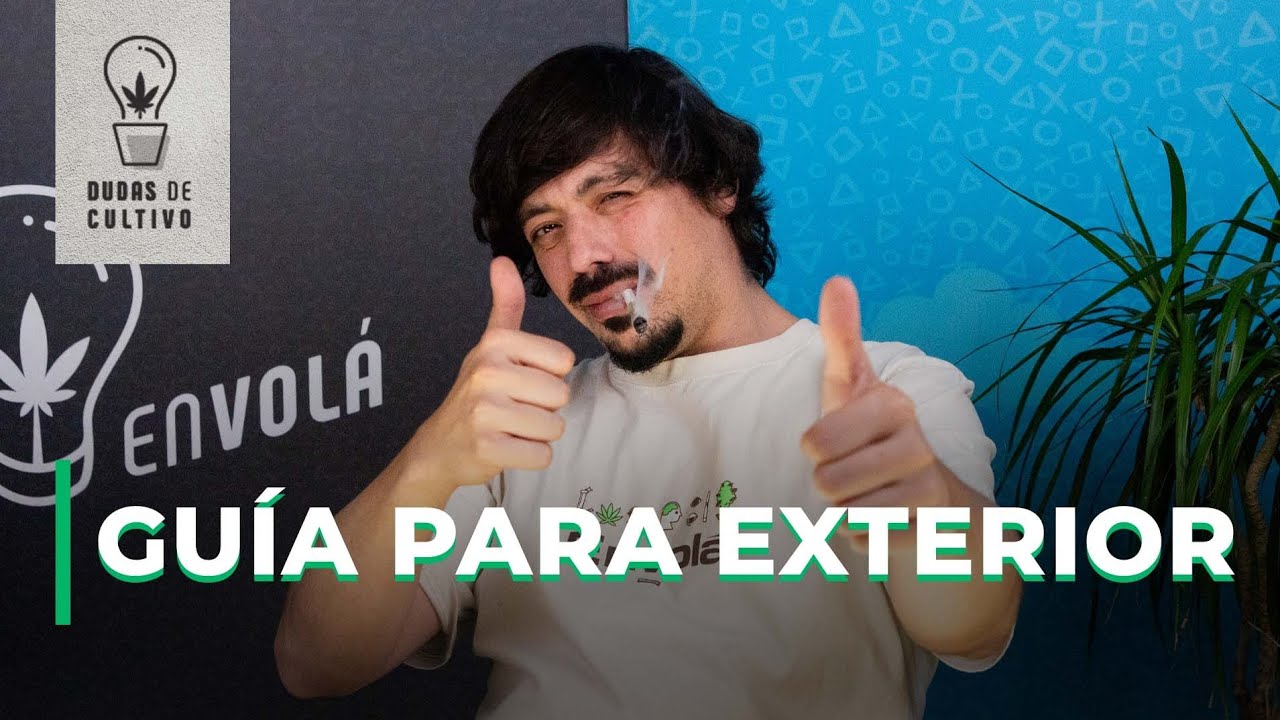 GUÍA: PRIMER CULTIVO EXTERIOR 2023 🌞