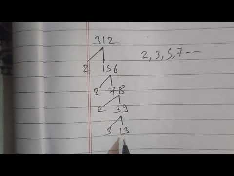 factor tree of 312 | prime factor tree |