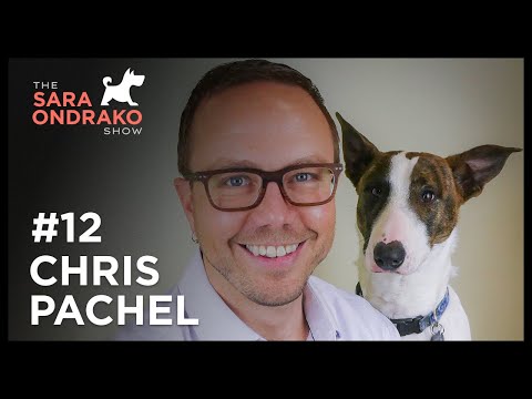 Behavior for Veterinarians - Dr. Chris Pachel