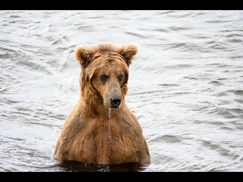 Alaska 2024 NP trip