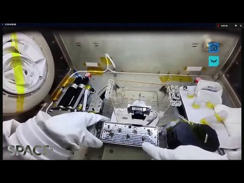 China's Shenzhou 14 crew grew plants in space, returns to Earth