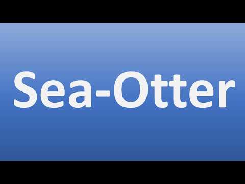 How to Pronounce Sea-Otter