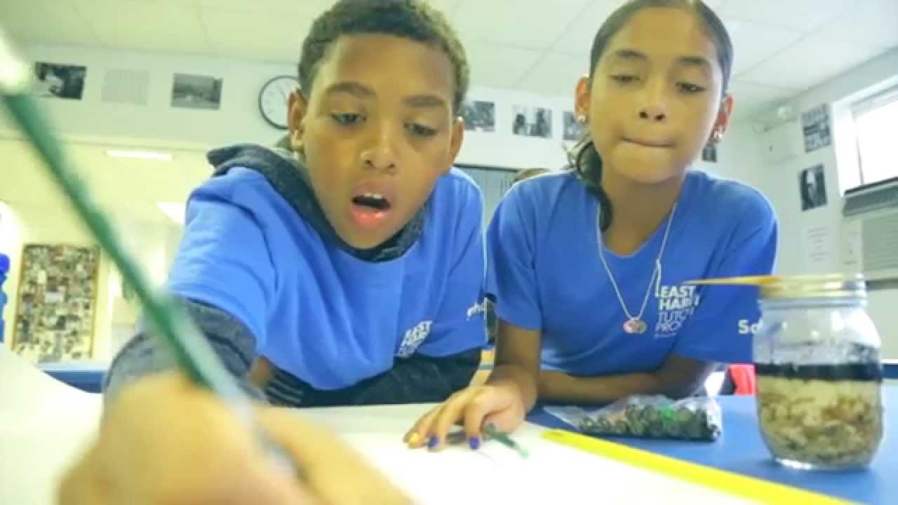Click2Science: Moments that Click!