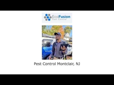 Pest Control Montclair, NJ - EcoFusion Pest Control