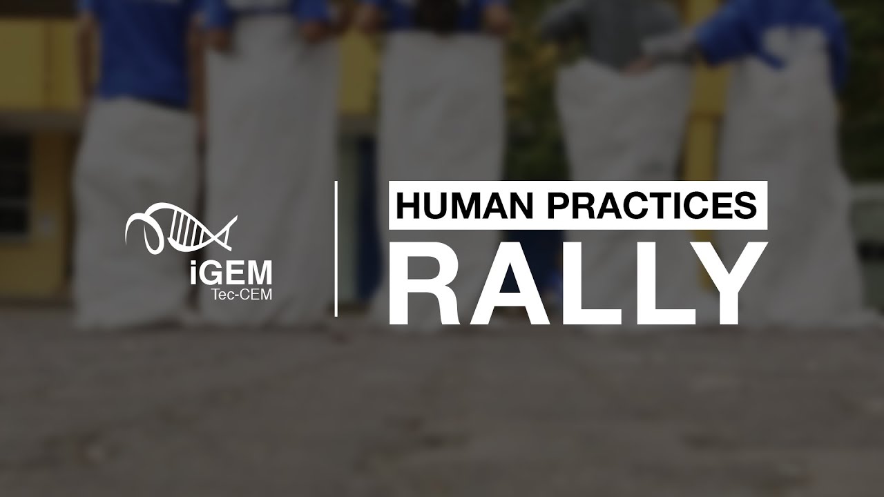 Human Practices: Rally