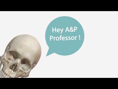 Using Visible Body Apps | Anatomy Resource for Professors