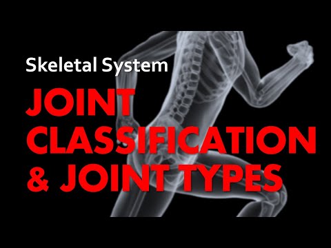 Joint Classifications and Types | Skeletal System 04 | Anatomy & Physiology