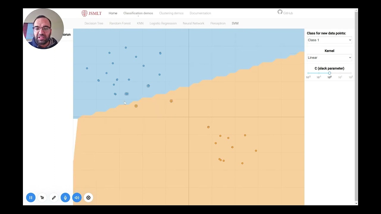 VisualML See how machine learning models learn