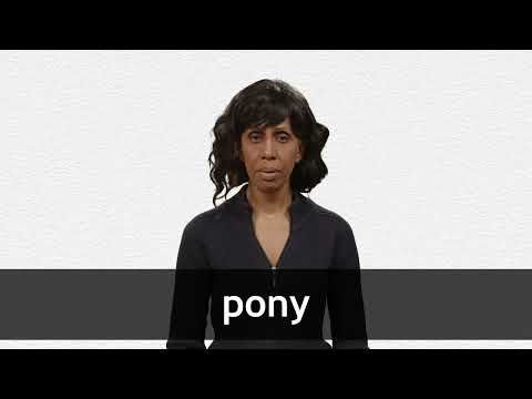 PONY - Definition & Translations | Collins English Dictionary