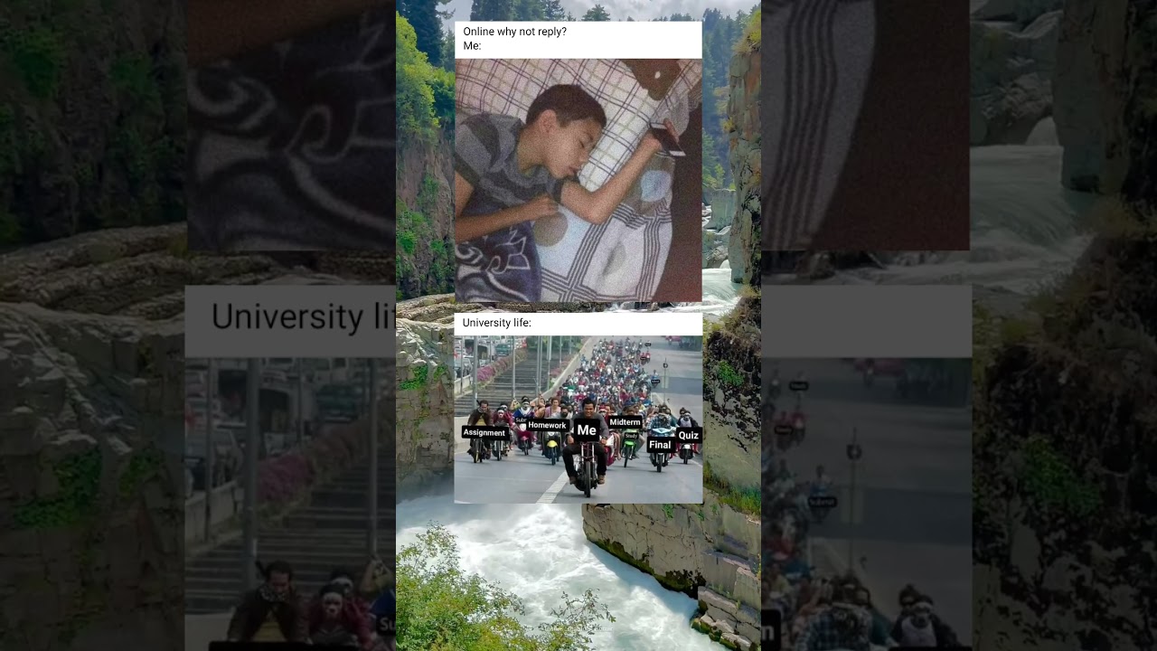 Where the nonsense makes perfect sense! 🤪🧩 #MemeMagic #ScrollHappy