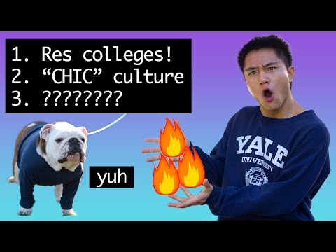 3 FUEGO answers to “Why Yale” Supplement Essays (as told by a Yale 2020 grad)