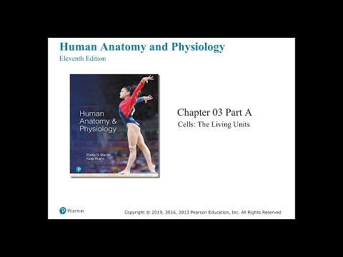 Anatomy and Physiology Chapter 3 Cells Part A