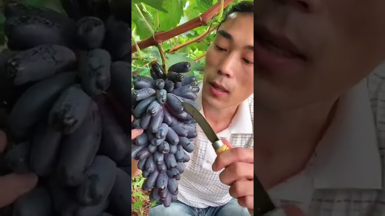Subscribe if you want to try this fruit😱😋🤤#usa #asmr #fruit #fyp 🍇😋